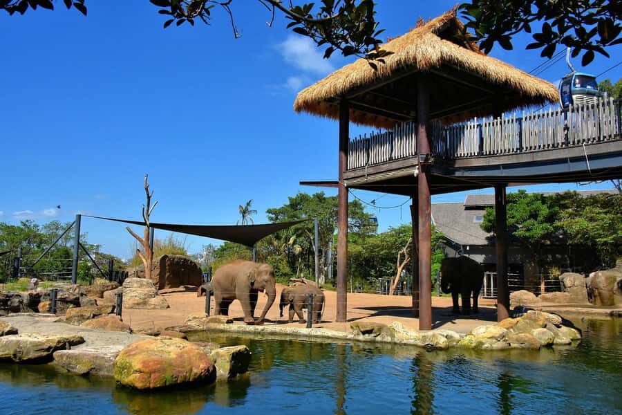 Sydney: Featherdale Park & Sydney Zoo Day Tour - FAQs