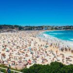 Sydney Harbour & Bondi: Morning Highlights with Breakfast - A Detailed Look at the Tour