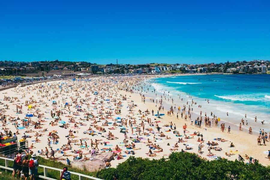 Sydney Harbour & Bondi: Morning Highlights with Breakfast - A Detailed Look at the Tour