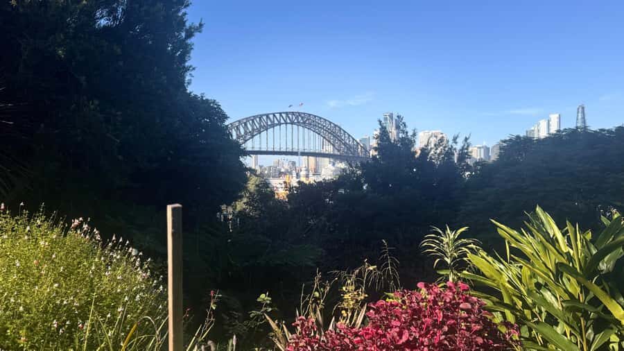 Sydney: Harbour Views & Hidden Histories Walking Tour - Exploring the Hidden Gardens and Harbourside Charm