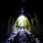 Sydney: Helensburgh Glow Worm Tunnel Tour with Transfer - The Real Value: Is It Worth It?