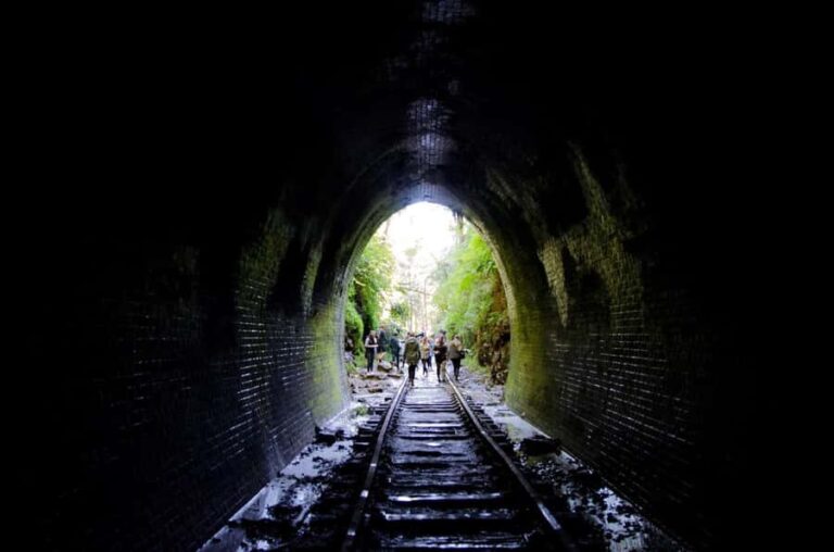 Sydney: Helensburgh Glow Worm Tunnel Tour with Transfer - The Real Value: Is It Worth It?