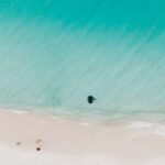 Sydney: Jervis Bay Tour with Beaches, Koalas & Kangaroos - Who Will Love This Tour?