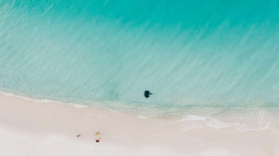 Sydney: Jervis Bay Tour with Beaches, Koalas & Kangaroos - Who Will Love This Tour?