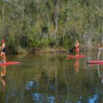 Sydney: Narrabeen Lagoon SUP Tour with Instructor - The Itinerary and What to Expect