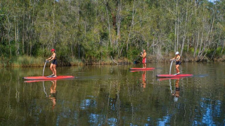 Sydney: Narrabeen Lagoon SUP Tour with Instructor - The Itinerary and What to Expect