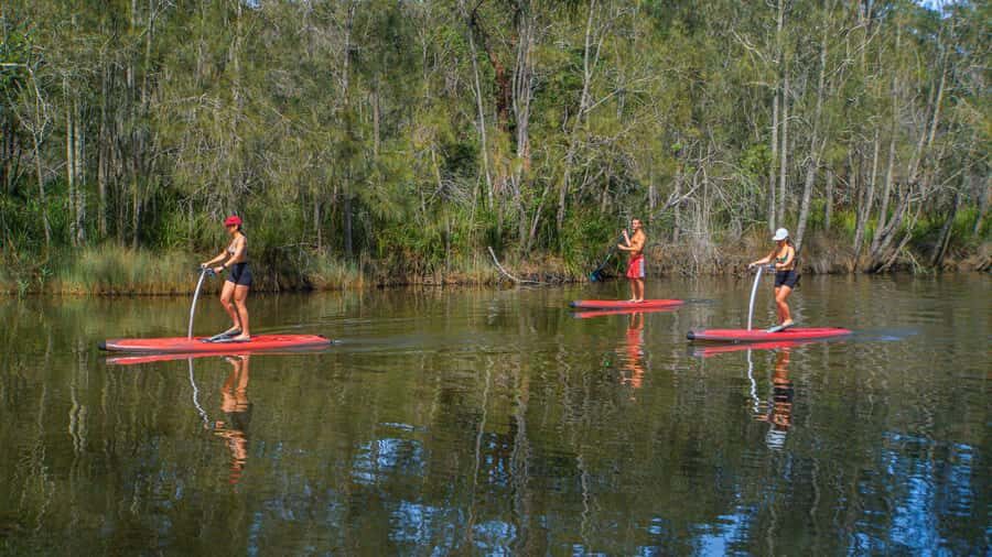 Sydney: Narrabeen Lagoon SUP Tour with Instructor - The Itinerary and What to Expect