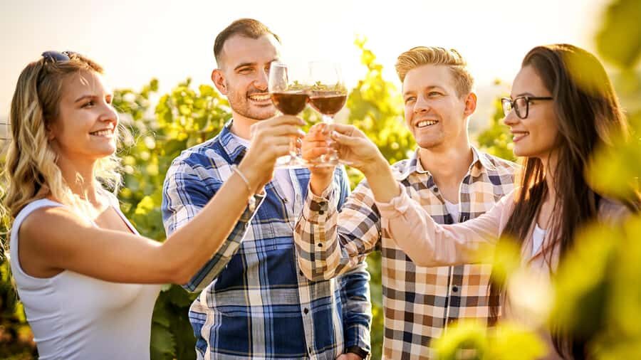 Sydney: Private Hunter Valley Premium Wine Tasting Luxe Tour - Who Should Book This Tour?