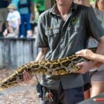 Sydney: Reptile Park and Avoca Beach Day Trip with Entry - The Practical Side: Group Size, Price, and Accessibility