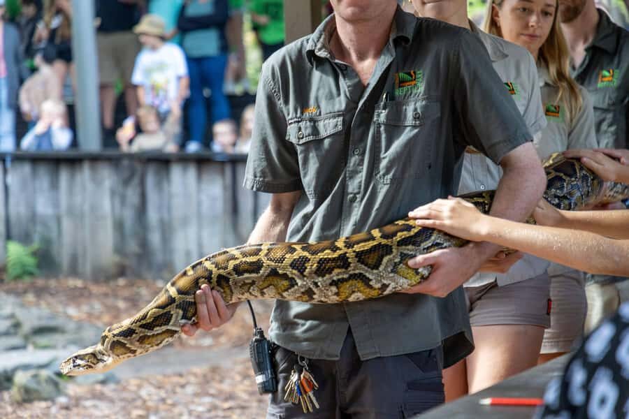 Sydney: Reptile Park and Avoca Beach Day Trip with Entry - The Practical Side: Group Size, Price, and Accessibility
