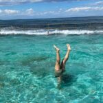 Sydney: Royal National Park Day Trip with Picnic and Swim - What Sets This Tour Apart?