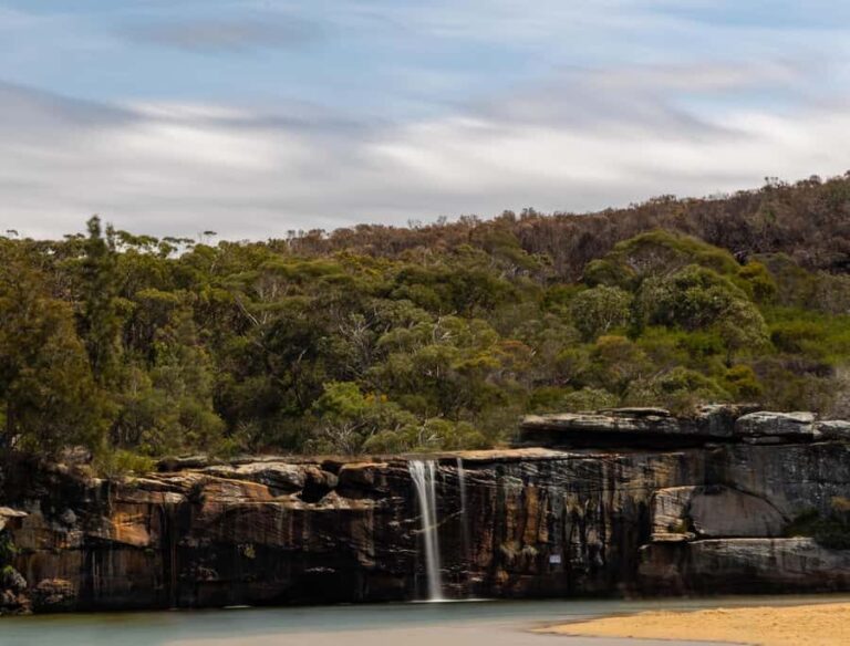 Sydney: Royal National Park tour with picnic - A Day in Nature: The Itinerary Breakdown