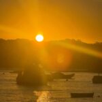 Sydney: Scenic Ferry & Sunset Experience in Watsons Bay - The Detailed Breakdown: Why This Tour Works