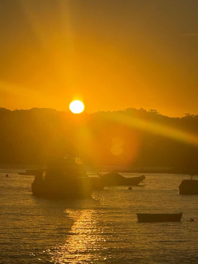 Sydney: Scenic Ferry & Sunset Experience in Watsons Bay - The Detailed Breakdown: Why This Tour Works