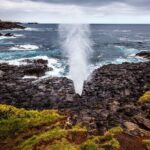 Sydney South Coast Day Tour  Kiama Blowhole & Sea Cliff Bridge - Practical Details: What to Expect