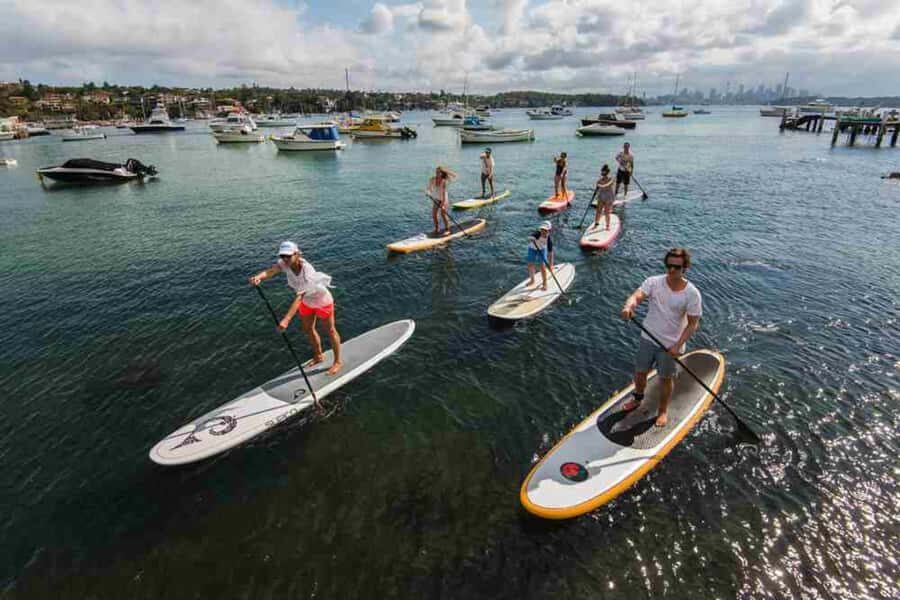 Sydney: Stand Up Paddling & Swim Experience in Watsons Bay - A Closer Look at the Sydney SUP & Swim Experience