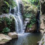 Sydney: Wollongong, Macquarie Pass, and Waterfalls Tour - Transportation and Group Dynamics