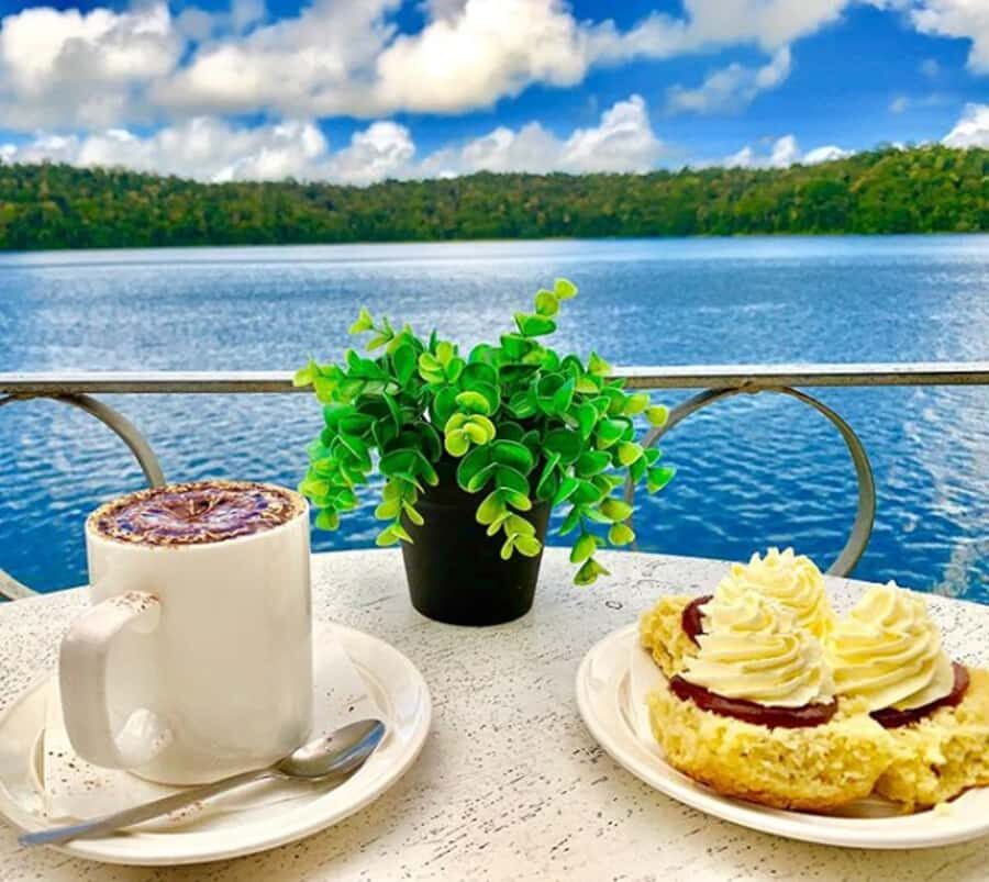 Tablelands Sights & Daintree Rainforest (2 Day Tours) - Final Thoughts