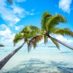 Tahiti Lagoon: 4-hour snorkeling to discover the secrets of the lagoon - Why This Tour Offers Great Value