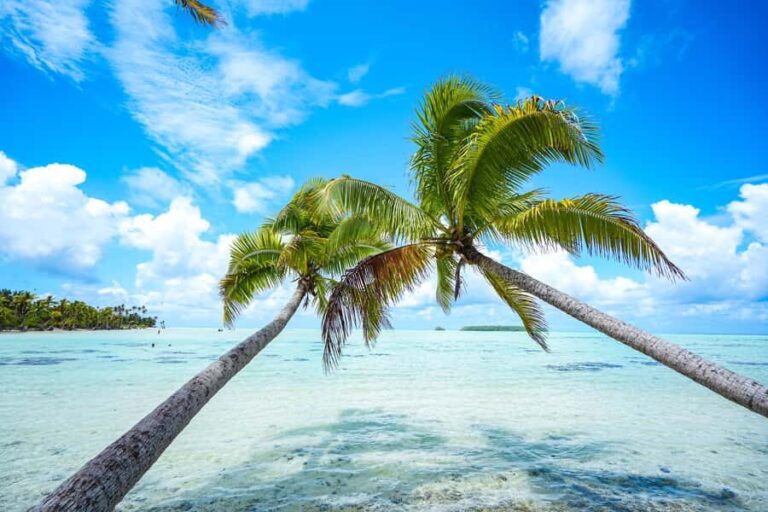 Tahiti Lagoon: 4-hour snorkeling to discover the secrets of the lagoon - Why This Tour Offers Great Value