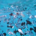 Tahiti Lagoon Vaimareva Private Boat cruise - The Itinerary: A Closer Look