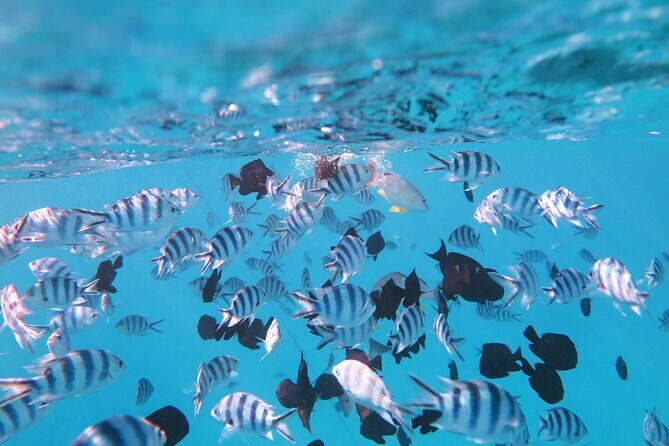 Tahiti Lagoon Vaimareva Private Boat cruise - The Itinerary: A Closer Look