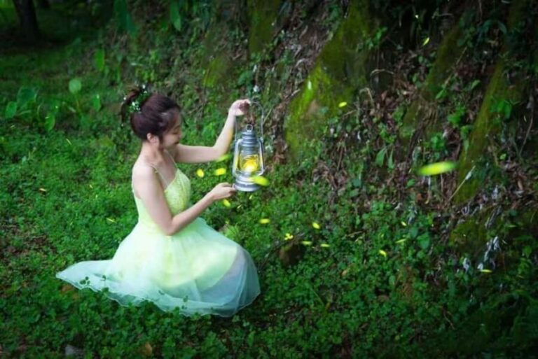 Taichung: Xitou Forest, Lukang, and Rainbow Village Tour - The Playful Charm of Monster Village