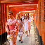 Tailor made 10 Days Japan Private Trip from Tokyo - Transportation and Logistics