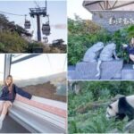 Taipei: Maokong Gondola, Zoo, and Keelung Day Trip - Visiting Taipei Zoo: Animal Encounters in the City
