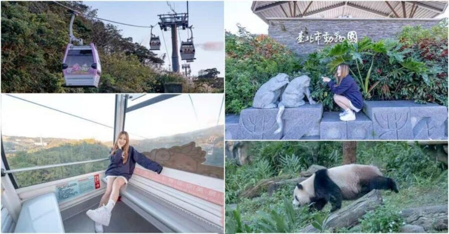 Taipei: Maokong Gondola, Zoo, and Keelung Day Trip - Visiting Taipei Zoo: Animal Encounters in the City