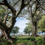 Tairwhiti Gisborne: Guided City Bike Tour - What Makes the Tour Stand Out?