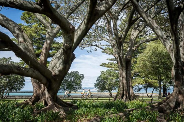 Tairwhiti Gisborne: Guided City Bike Tour - What Makes the Tour Stand Out?