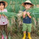 Taiwan: 10-Day Private Island Tour with 4-Star Hotels - Why This Tour Offers Great Value