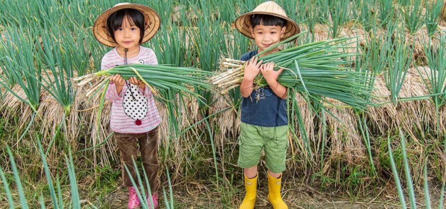 Taiwan: 10-Day Private Island Tour with 4-Star Hotels - Why This Tour Offers Great Value