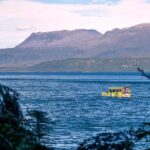 Tarawera and Rotorua Lakes Eco Tour by Boat with Guide - Final Thoughts: Is It Worth It?