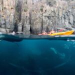 Tasman Peninsula Full-Day Sea Kayak Excursion - What Sets This Tour Apart?