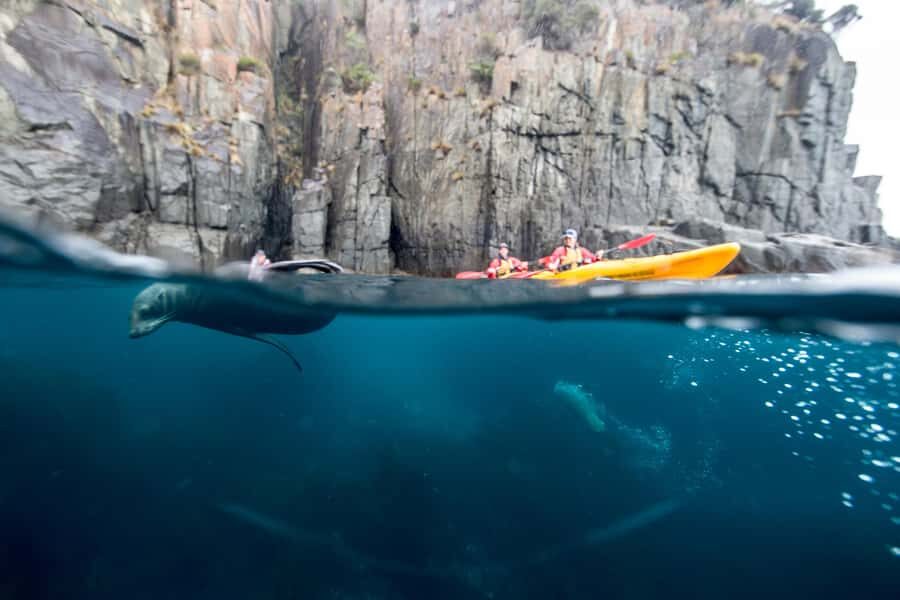 Tasman Peninsula Full-Day Sea Kayak Excursion - What Sets This Tour Apart?