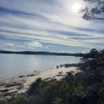 Tasmania: Private Luxury Tour with Custom Itinerary - Who Will Love This Tour?