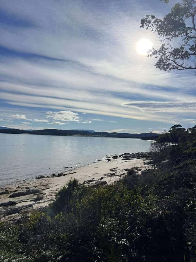 Tasmania: Private Luxury Tour with Custom Itinerary - Who Will Love This Tour?