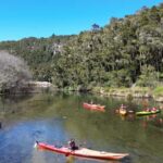 Taup: Hidden Lake Kayak Tour with Sunken Forest Views - The Final Verdict