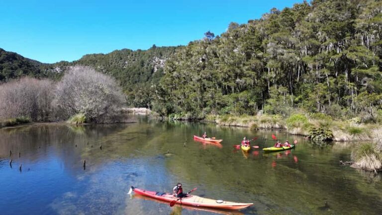 Taup: Hidden Lake Kayak Tour with Sunken Forest Views - The Final Verdict