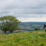 Taupo/Turangi: The Torohe Half-Day Horse Trek - The Horse Experience: Comfort and Connection