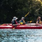 Tauranga: Daytime Scenic Lake McLaren Kayak Tour - Who Should Consider This Tour?