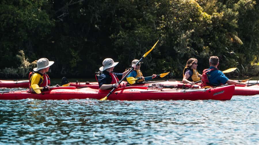 Tauranga: Daytime Scenic Lake McLaren Kayak Tour - Who Should Consider This Tour?