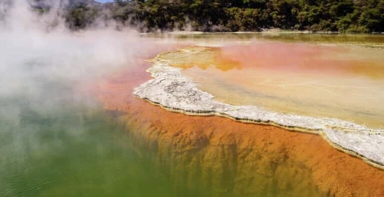 Tauranga: Wai-o-Tapu with Redwood Forest Walk or Forest Spa - What Travelers Say