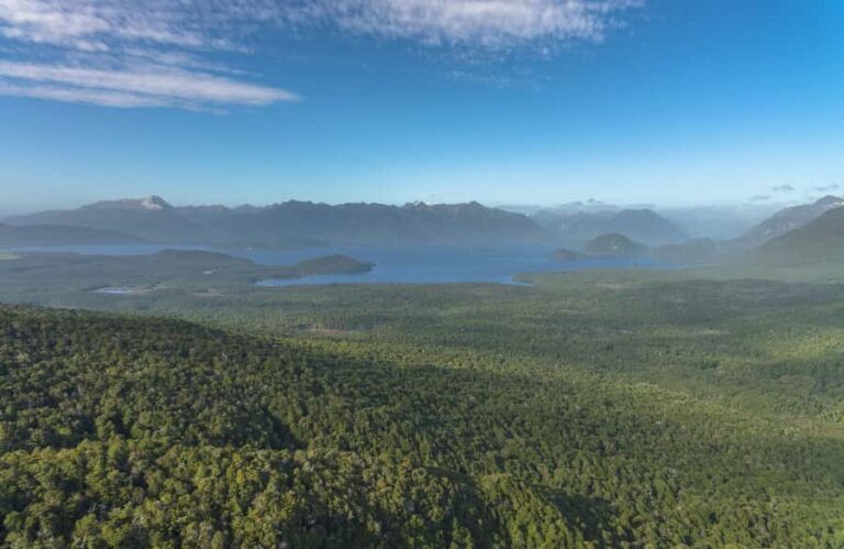 Te Anau: Fiordland Helicopter Flight with Alpine Landing - The Experience and Itinerary