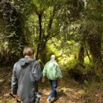 Te Anau: Kepler Heli Hike (unguided) - Hiking the Kepler Track