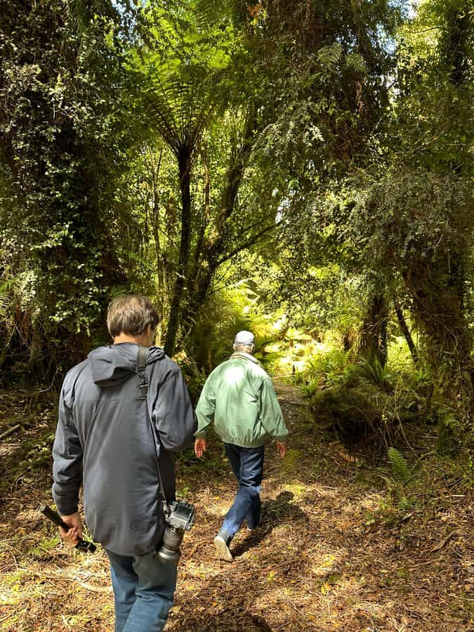 Te Anau: Kepler Heli Hike (unguided) - Hiking the Kepler Track