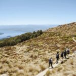 Te Anau: Kepler Track Helicopter Hike with Boat Ride - What Makes This Tour Special?