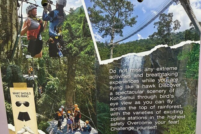 The Biggest and longest Zipline, Hawk, Koh Samui - Who Should Consider This Tour?